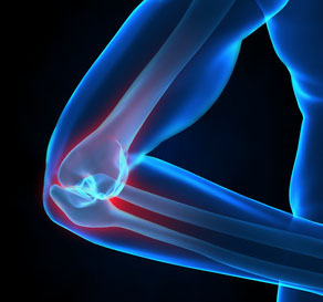 Coude : définition - docteurclic.com