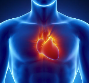 Greffe cardiaque : traitement, définition - docteurclic.com