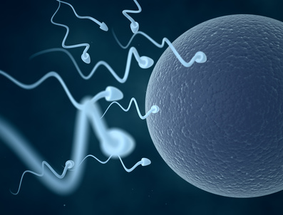 Conception : définition - docteurclic.com