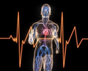 Traitement cardiovasculaire : symptômes, traitement, définition ...