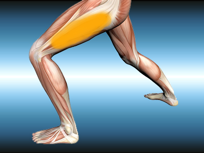 Élongation musculaire : symptômes, traitement, définition - docteurclic.com