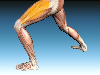 Contractures : symptômes, traitement, définition - docteurclic.com