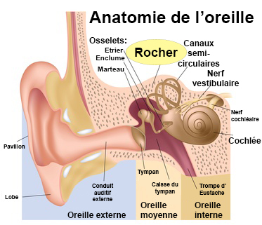 Rocher : définition - docteurclic.com