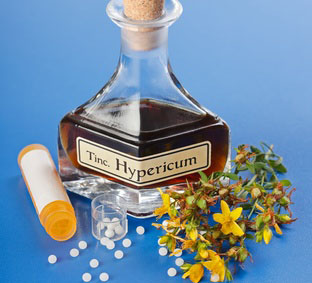 Hypericum (homéopathie) : posologie, traitement, indications ...