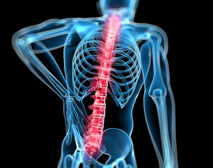 Spondylodiscites : symptômes, traitement, définition - docteurclic.com
