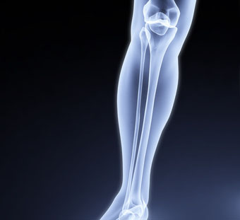 Jambe : définition - docteurclic.com