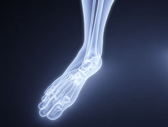 Pied : définition - docteurclic.com