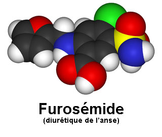 Diurétiques : traitement, définition - docteurclic.com