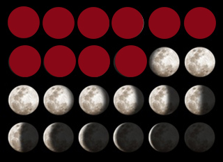 Ménorragies (règles abondantes) chez la jeune fille : symptômes ...