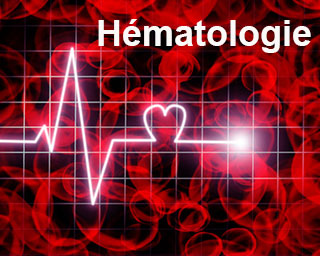 Ponction sternale examen - docteurclic.com