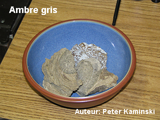 Ambra grisea (homéopathie) : posologie, traitement, indications ...