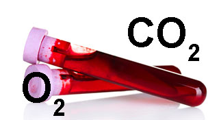 Gaz du sang examen - docteurclic.com