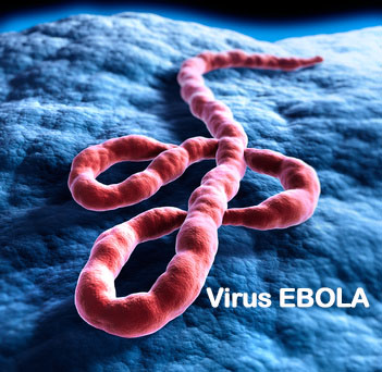 Chronologie des principales contaminations du virus Ebola : définition ...